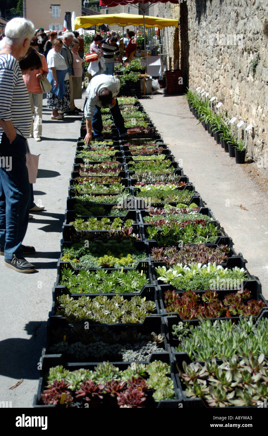 French horticulturalist hi-res stock photography and images - Alamy
