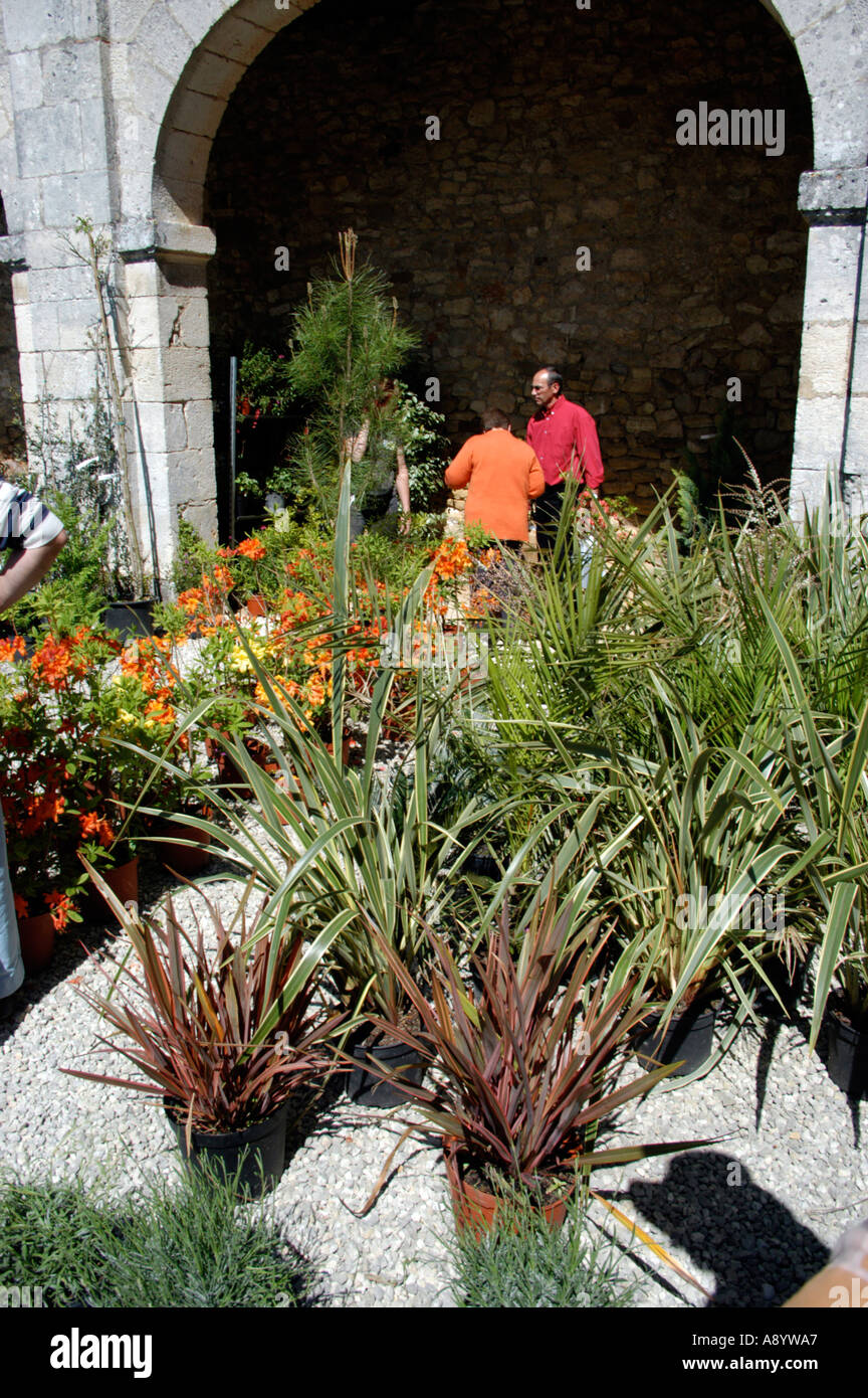 french flower and plant show and horticultural display in st jean de ...