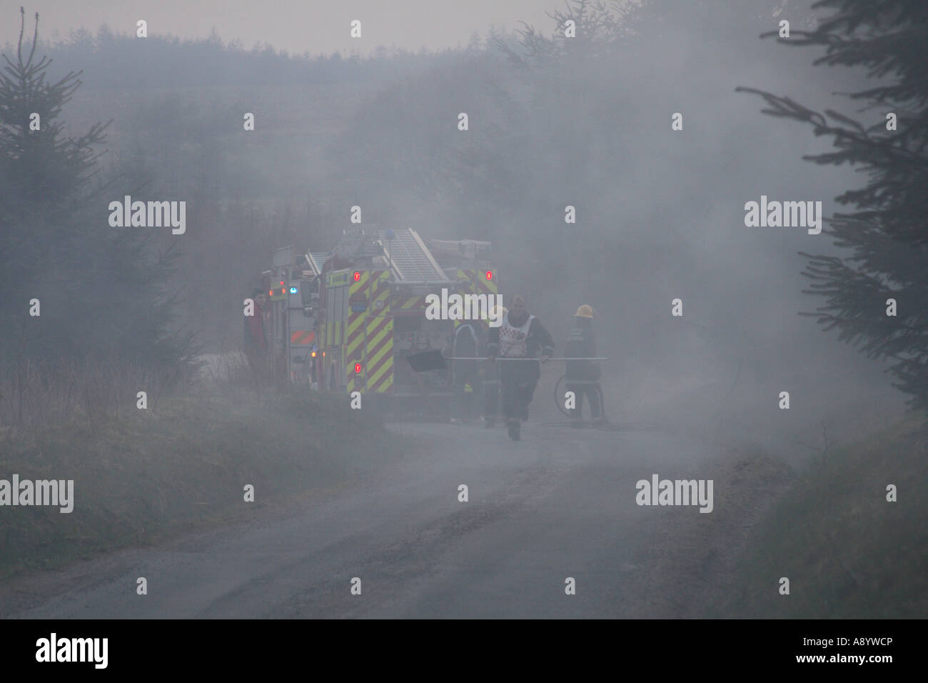 Forest fire engines hi-res stock photography and images - Alamy
