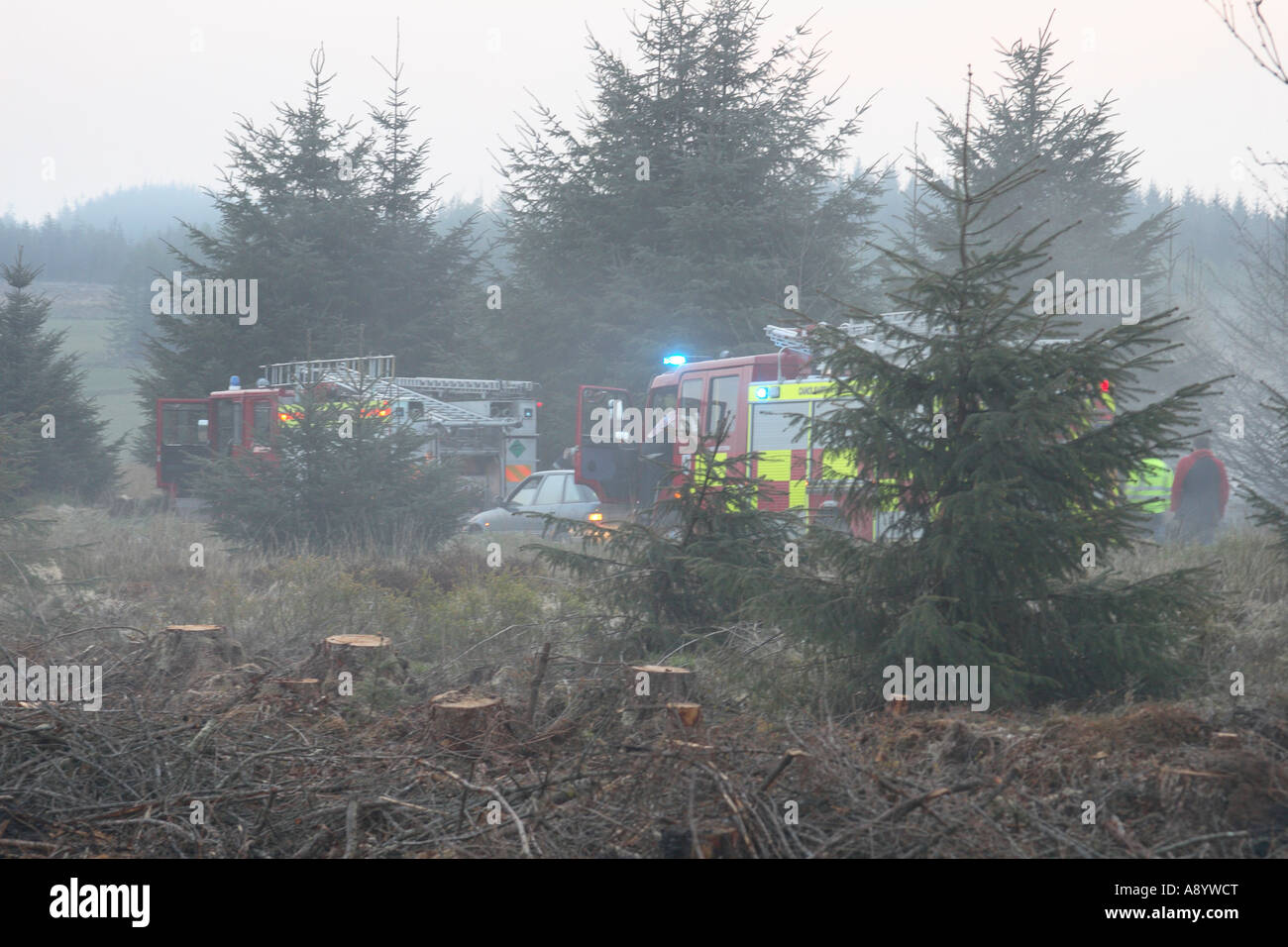 FIRE ENGINES ATTENDING FOREST FIRE IN YPUNG CONIFER PLANTATION Stock ...