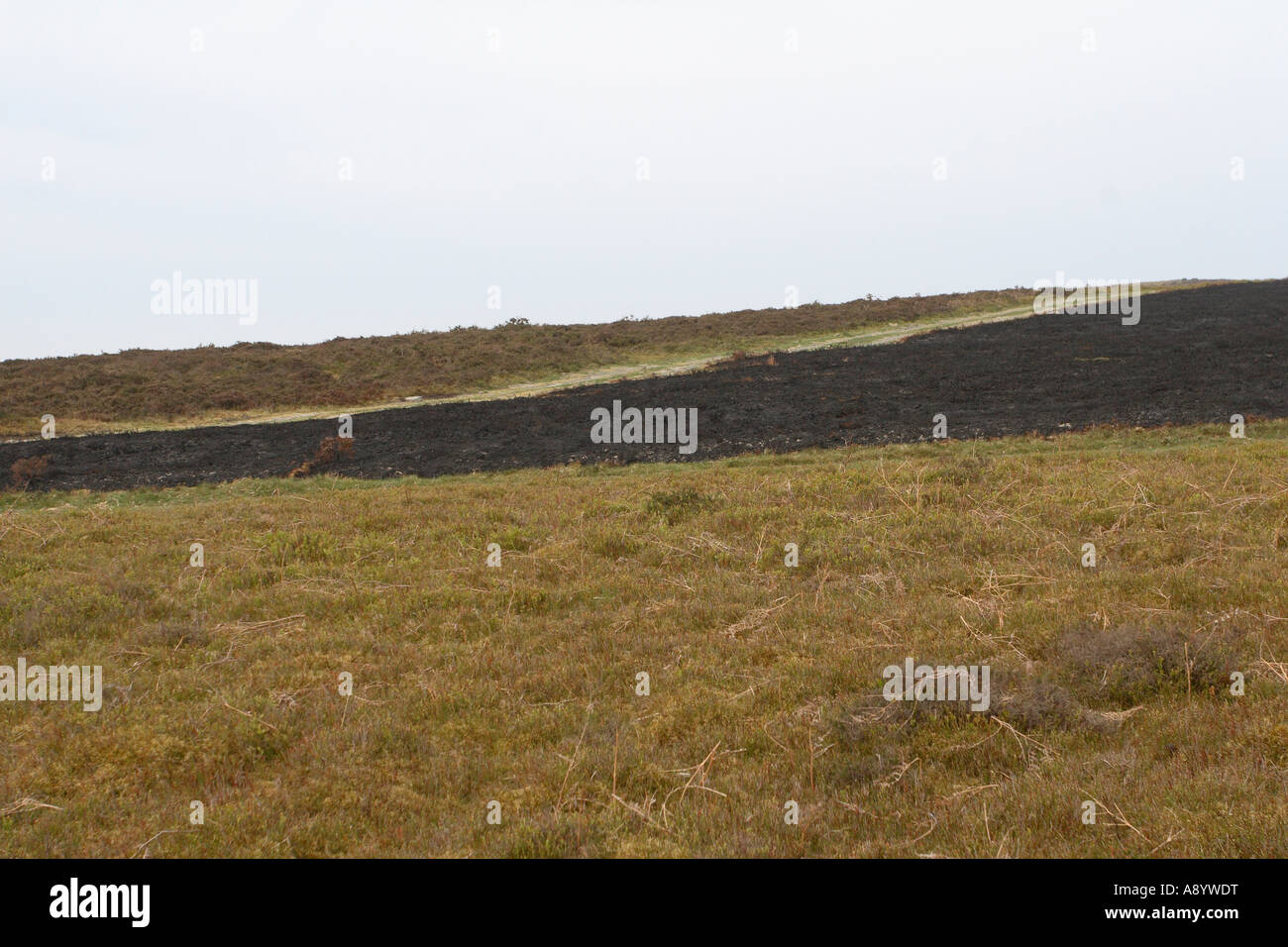 Moor burning hi-res stock photography and images - Alamy