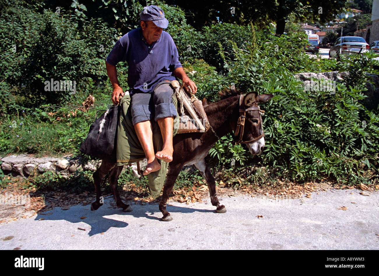 Man riding side saddle on donkey, Melnik, Bulgaria Stock Photo - Alamy