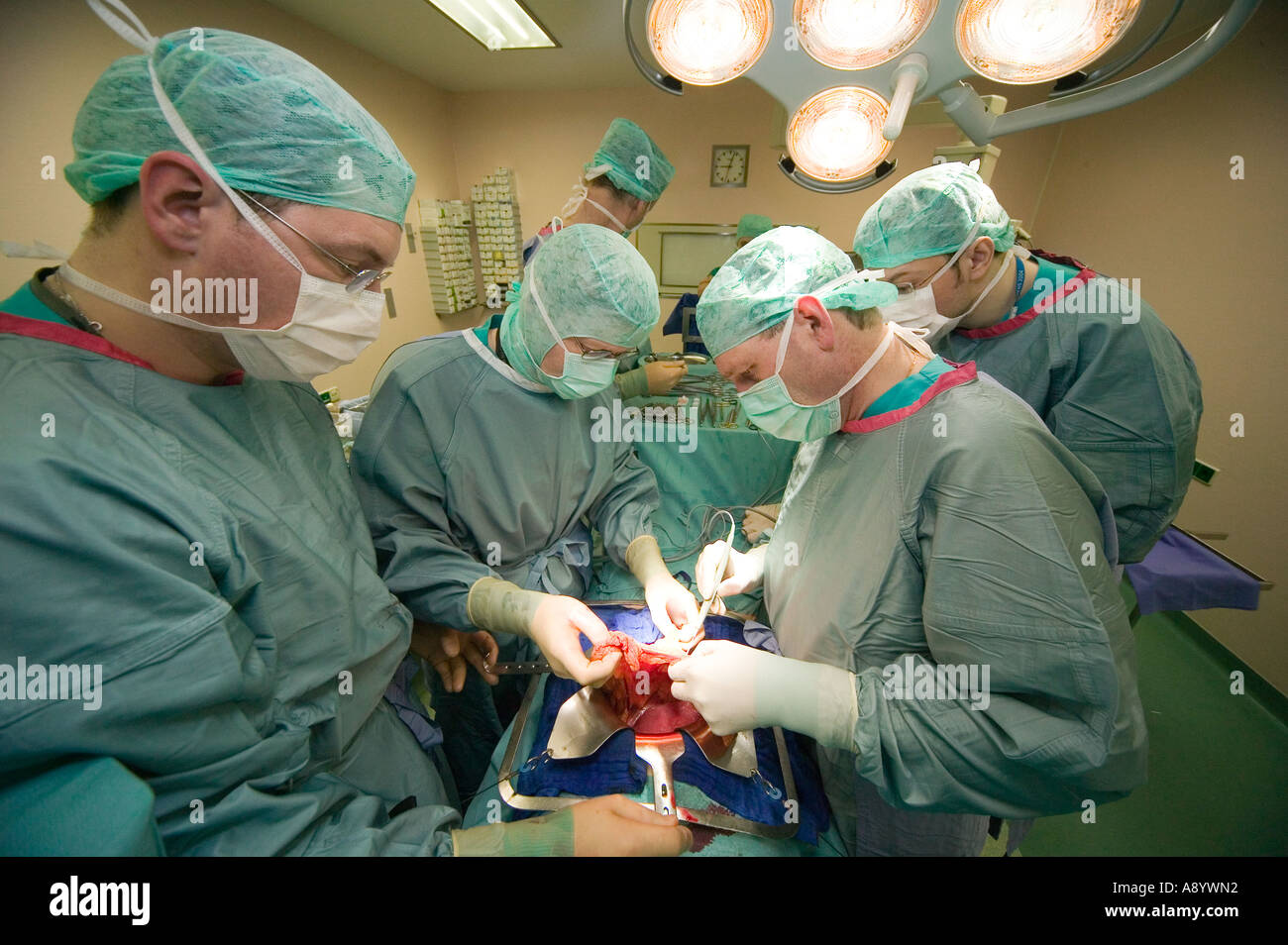 surgeons abdominal surgery cancer surgery operating room Stock Photo ...