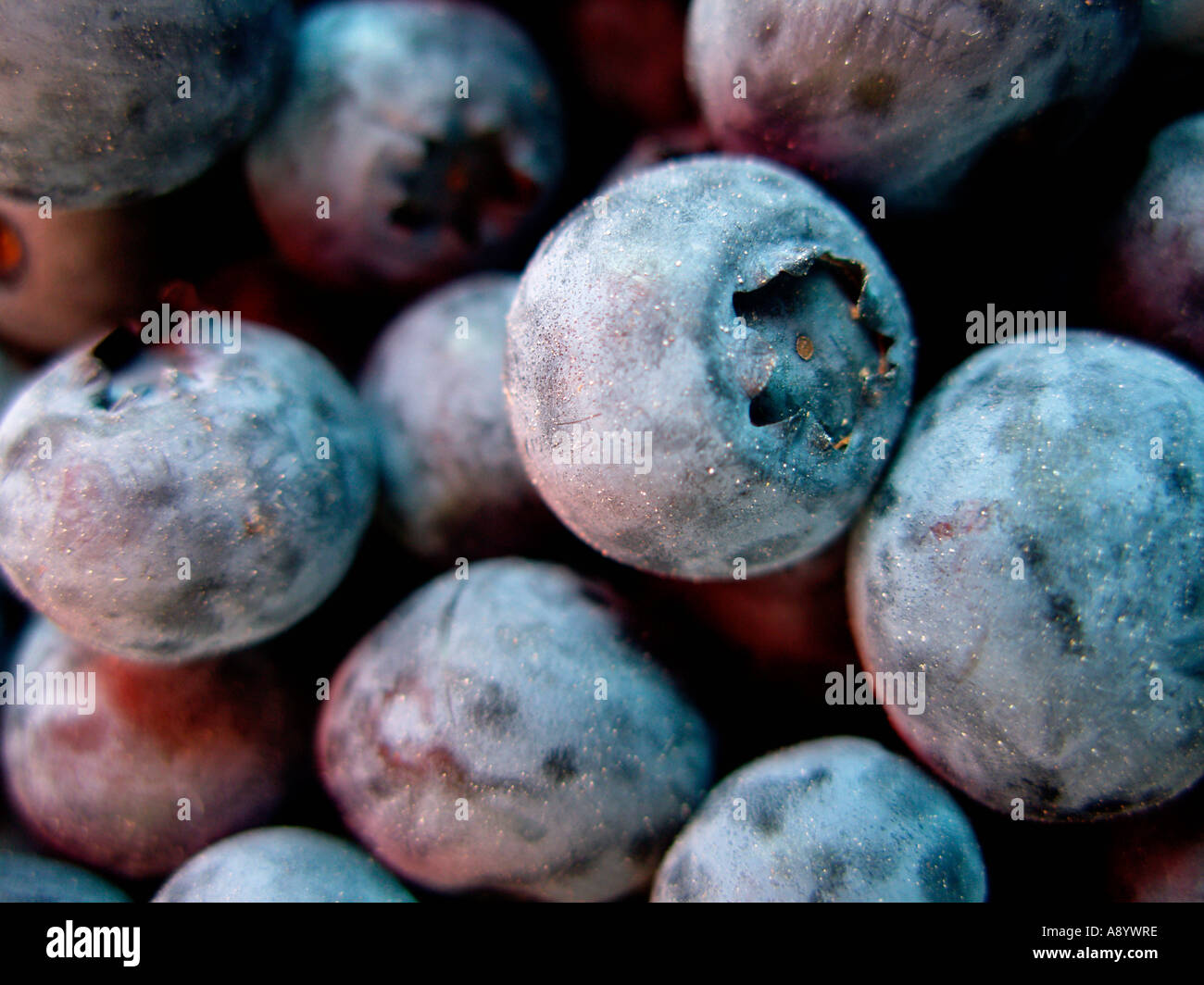 Close up of blueberries hi-res stock photography and images - Alamy