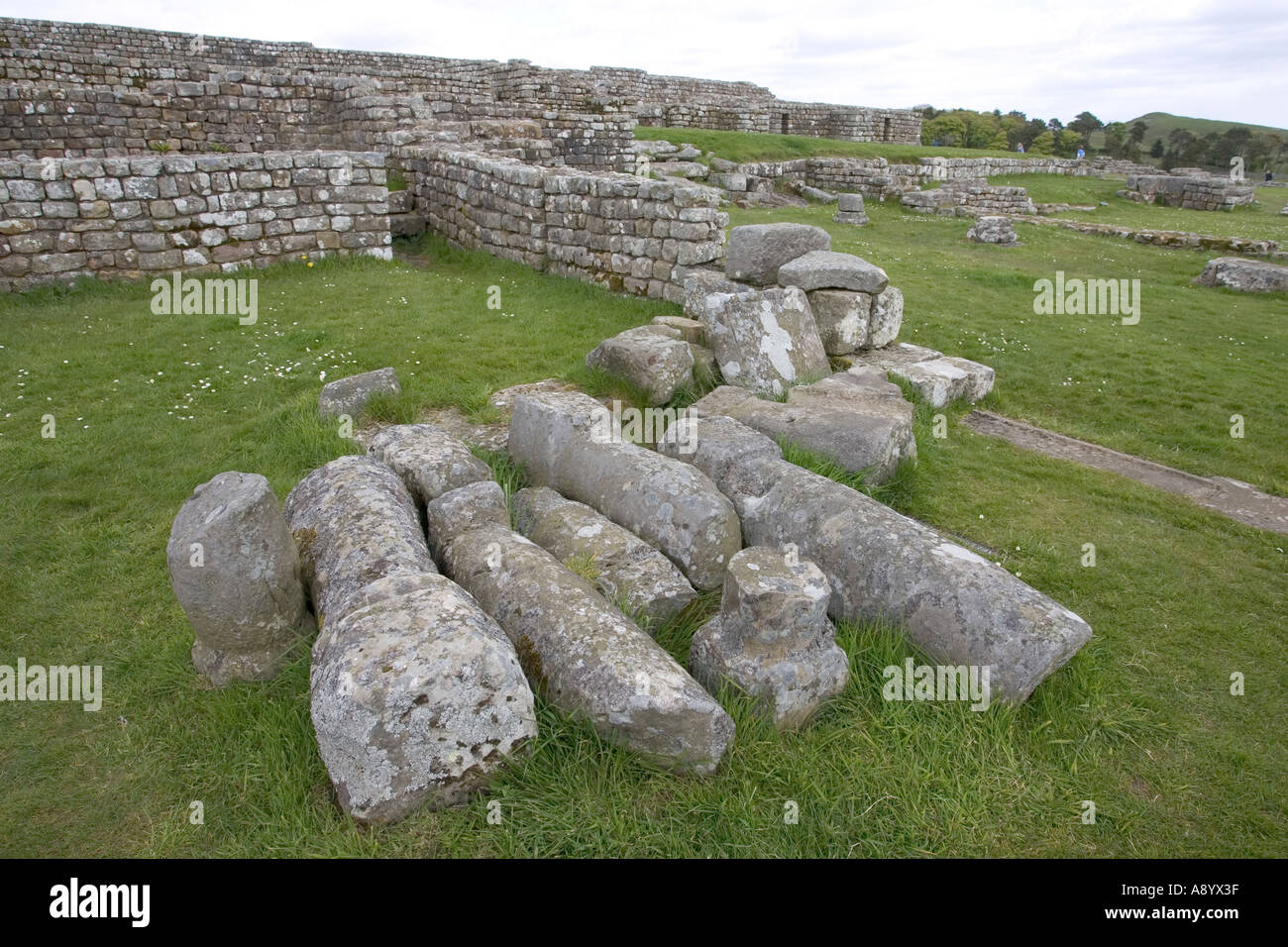 Remains of pillars in headquarters building or principia Hounsteads ...