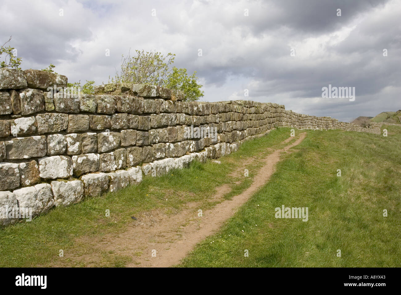 Hadrians Roman Wall Scottish border Northumberland Stock Photo - Alamy