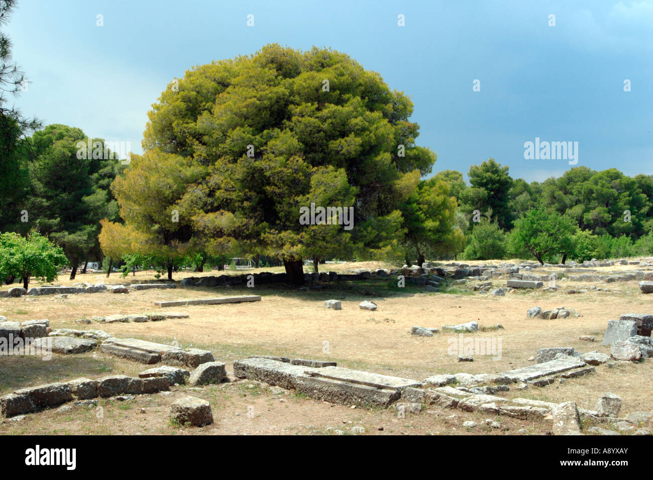 Ruins at the sanctuary of Epidaurus Greece Stock Photo - Alamy