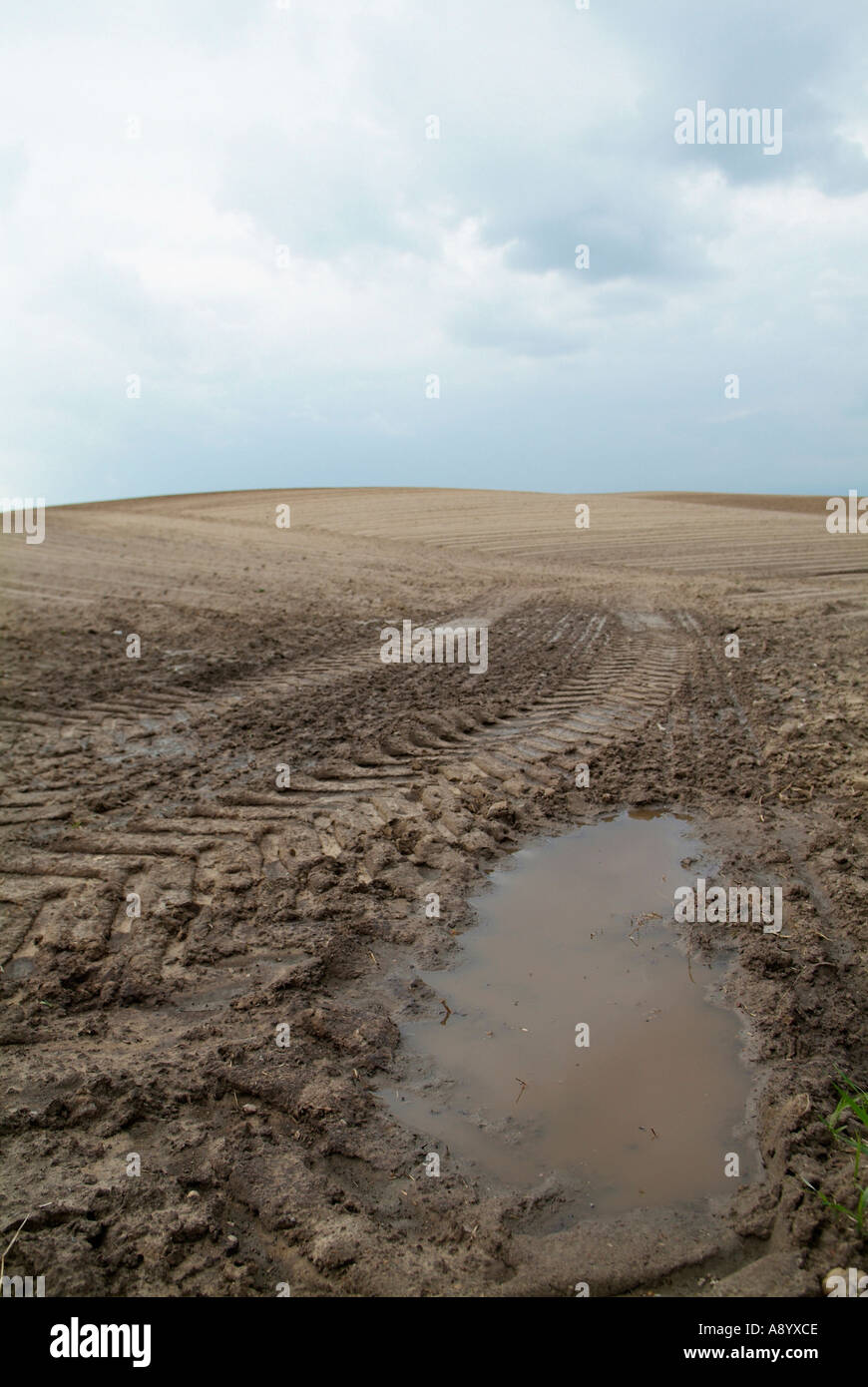 field with puddle Stock Photo - Alamy