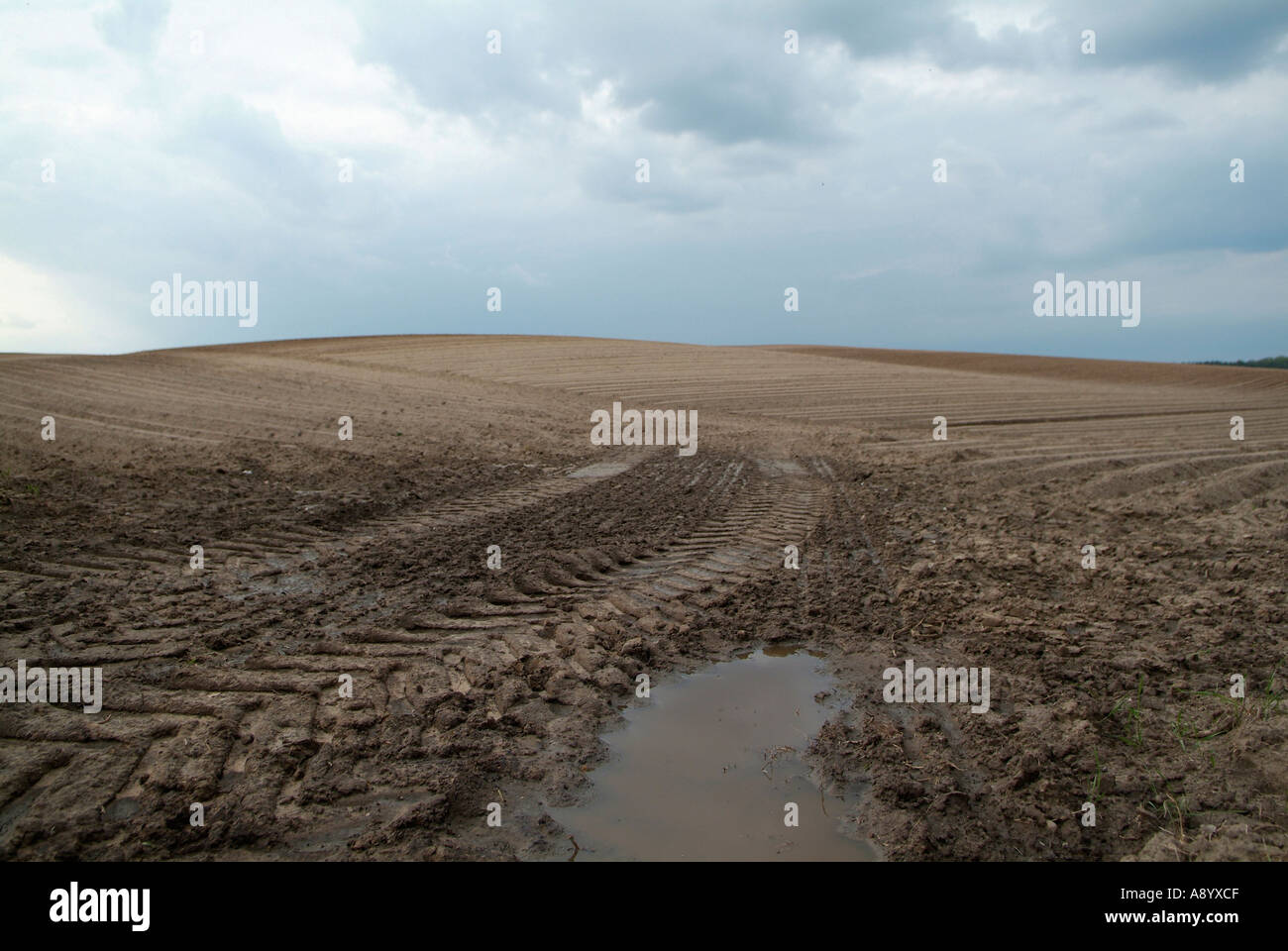 field with puddle Stock Photo - Alamy