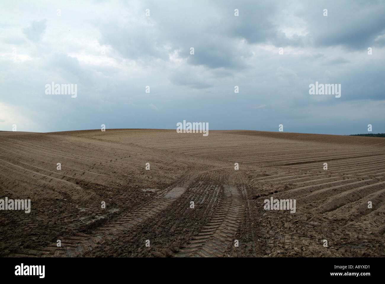 field with puddle Stock Photo - Alamy