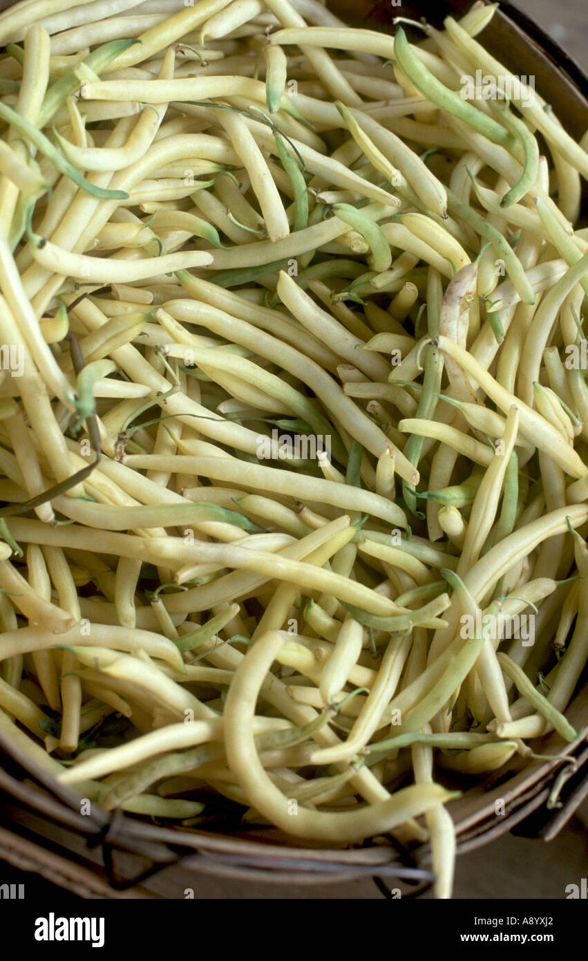 String bean seeds hi-res stock photography and images - Alamy