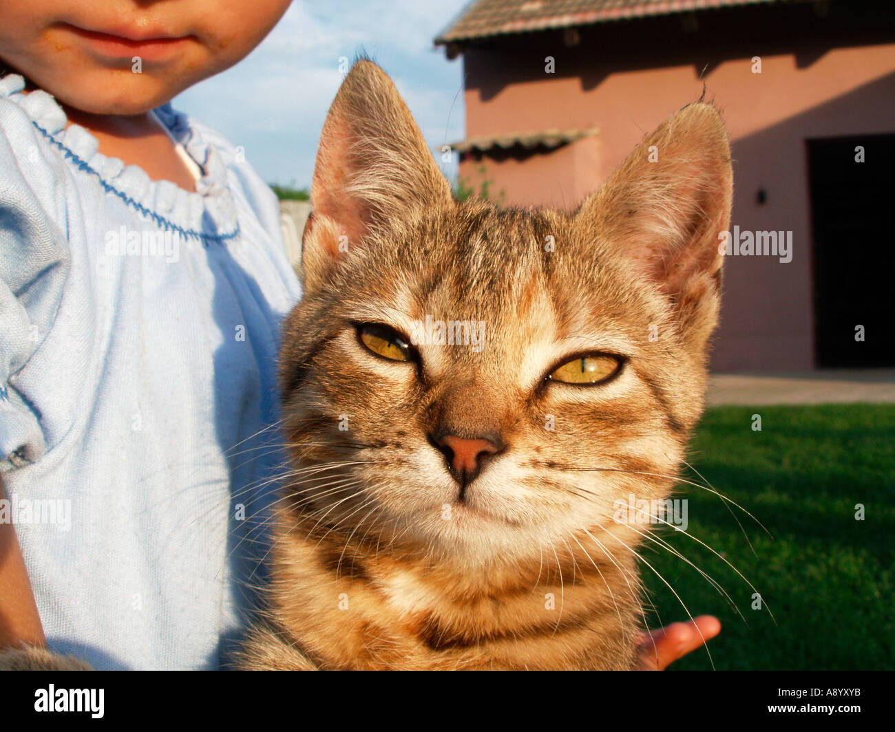 Sanny hi-res stock photography and images - Alamy