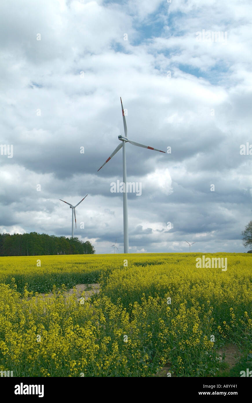 wind power station Stock Photo - Alamy