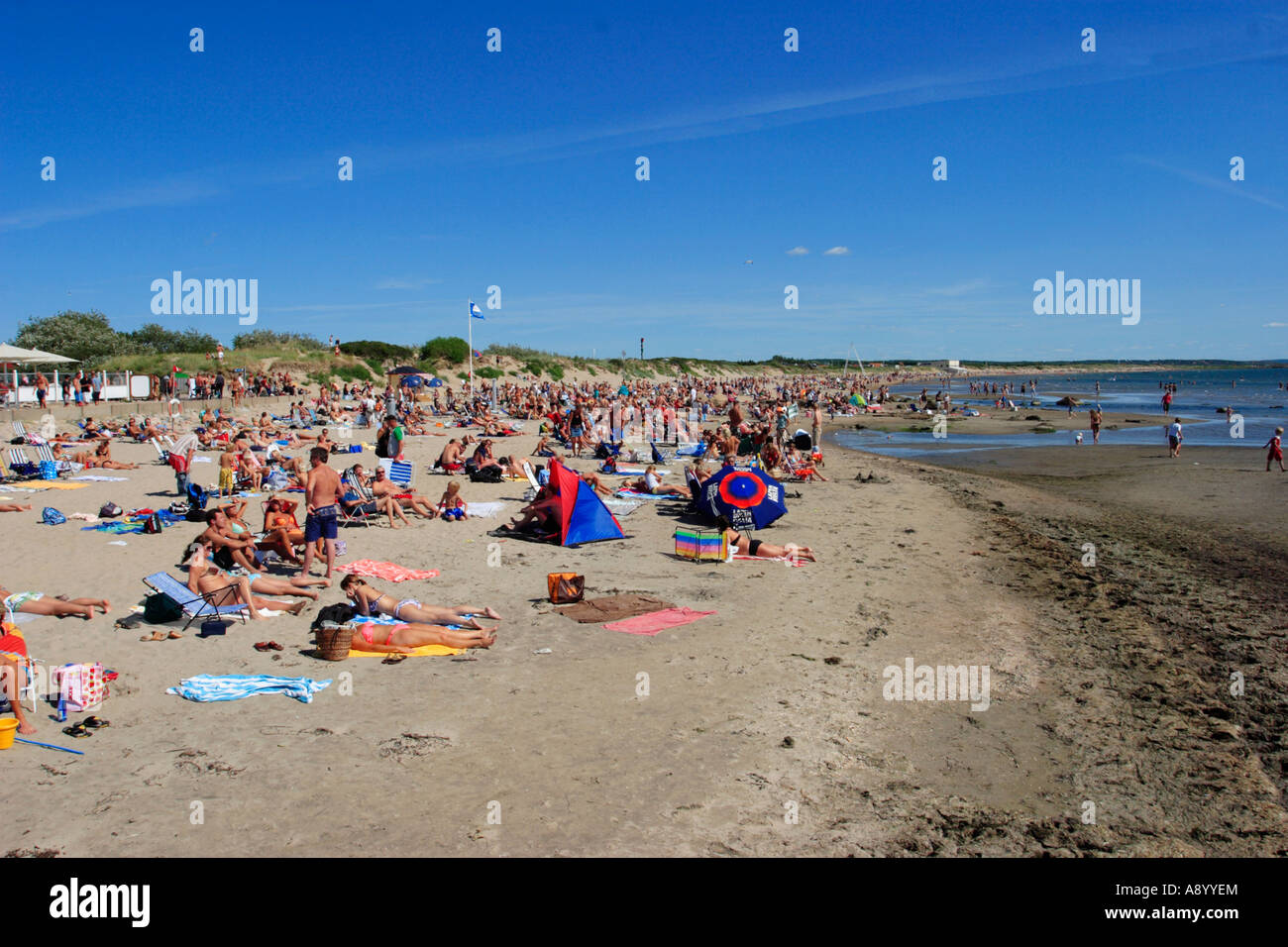 crowd summer beach Stock Photo - Alamy