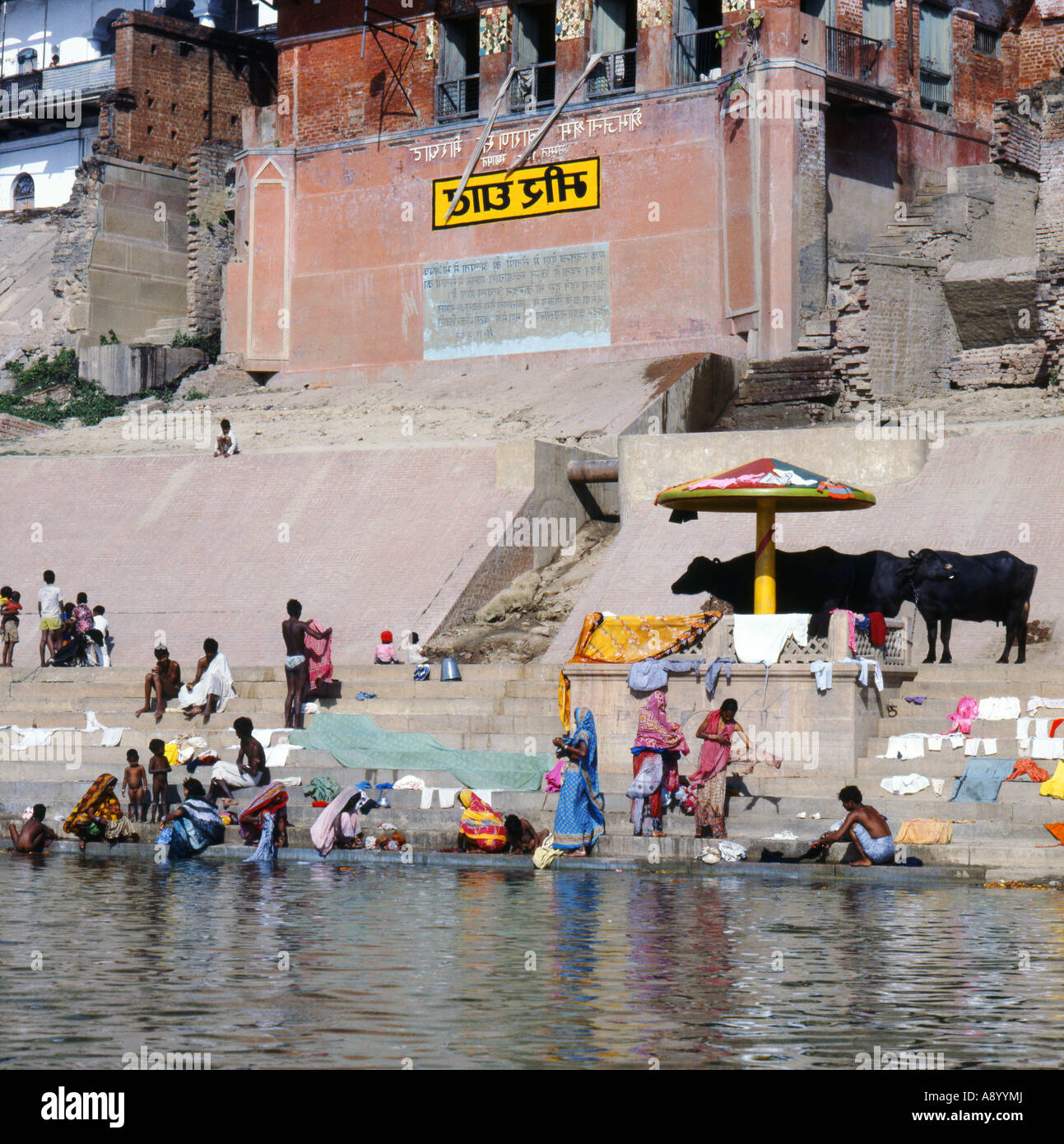 washing laundry in the Ganges river in Varanasi India Stock Photo - Alamy