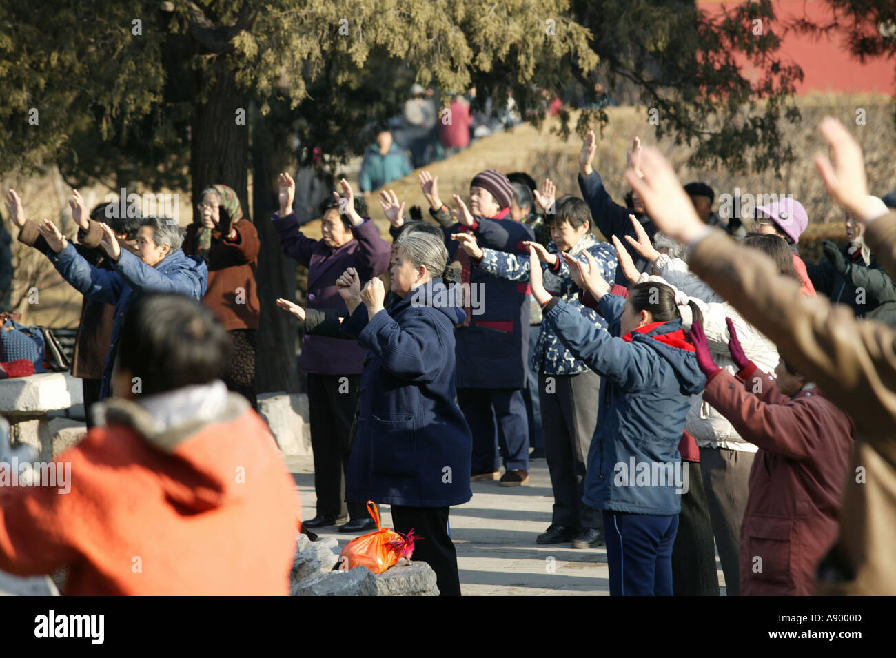 a crowd of people doing exercise Stock Photo - Alamy