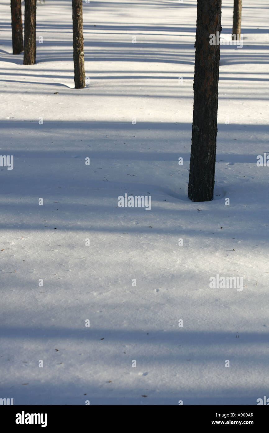 Shade patterns hi-res stock photography and images - Alamy