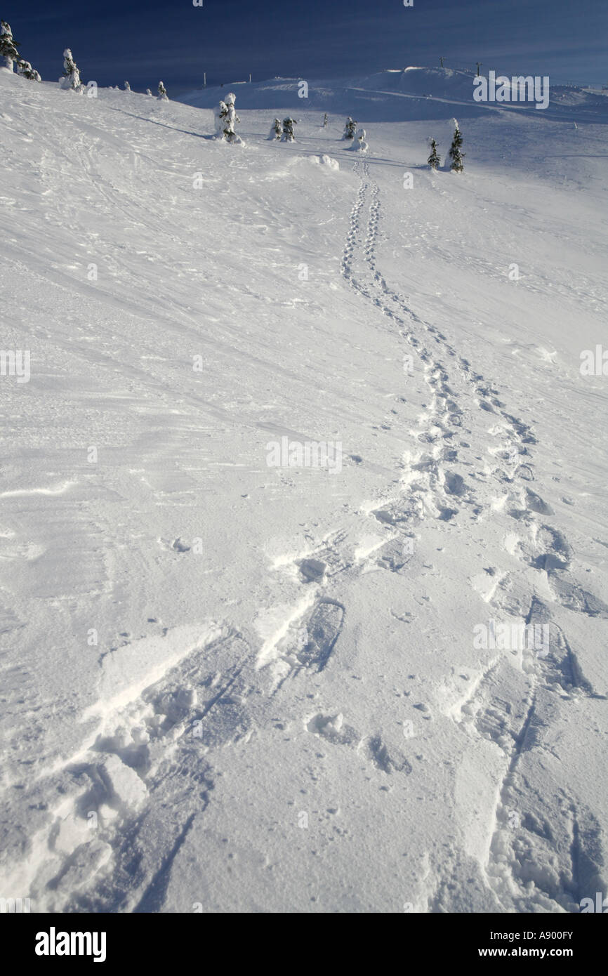 Lapland snow shoe hi-res stock photography and images - Alamy