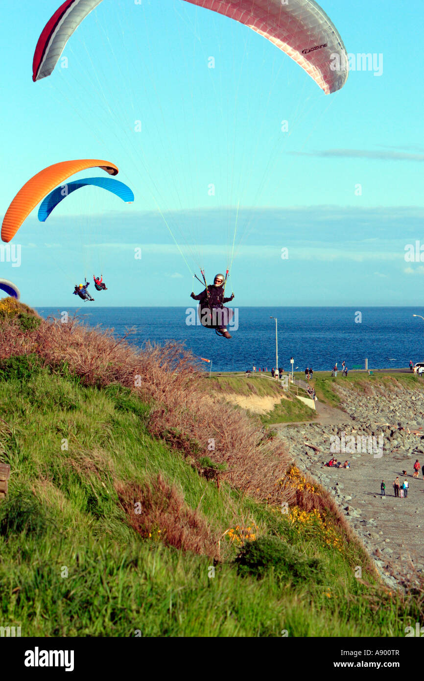 Paragliding at Clover Point Victoria Stock Photo - Alamy