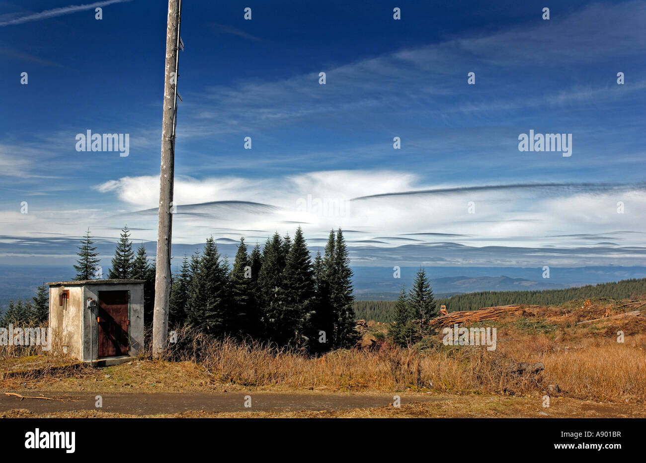 Hut, Capitol Forest, Washington USA Stock Photo - Alamy
