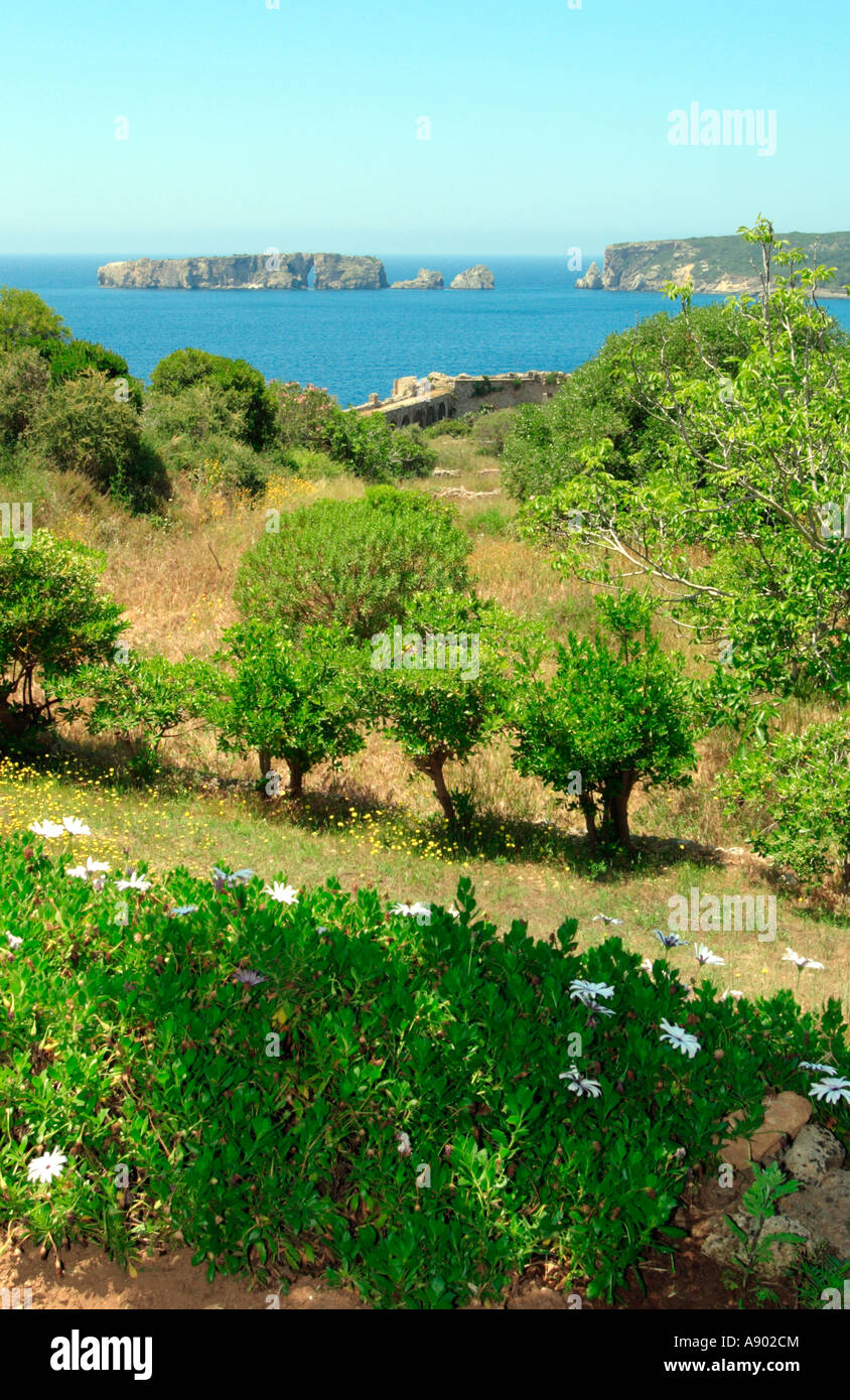 Interior courtyard of Neokastro a Turkish fortress in Pylos Stock Photo ...