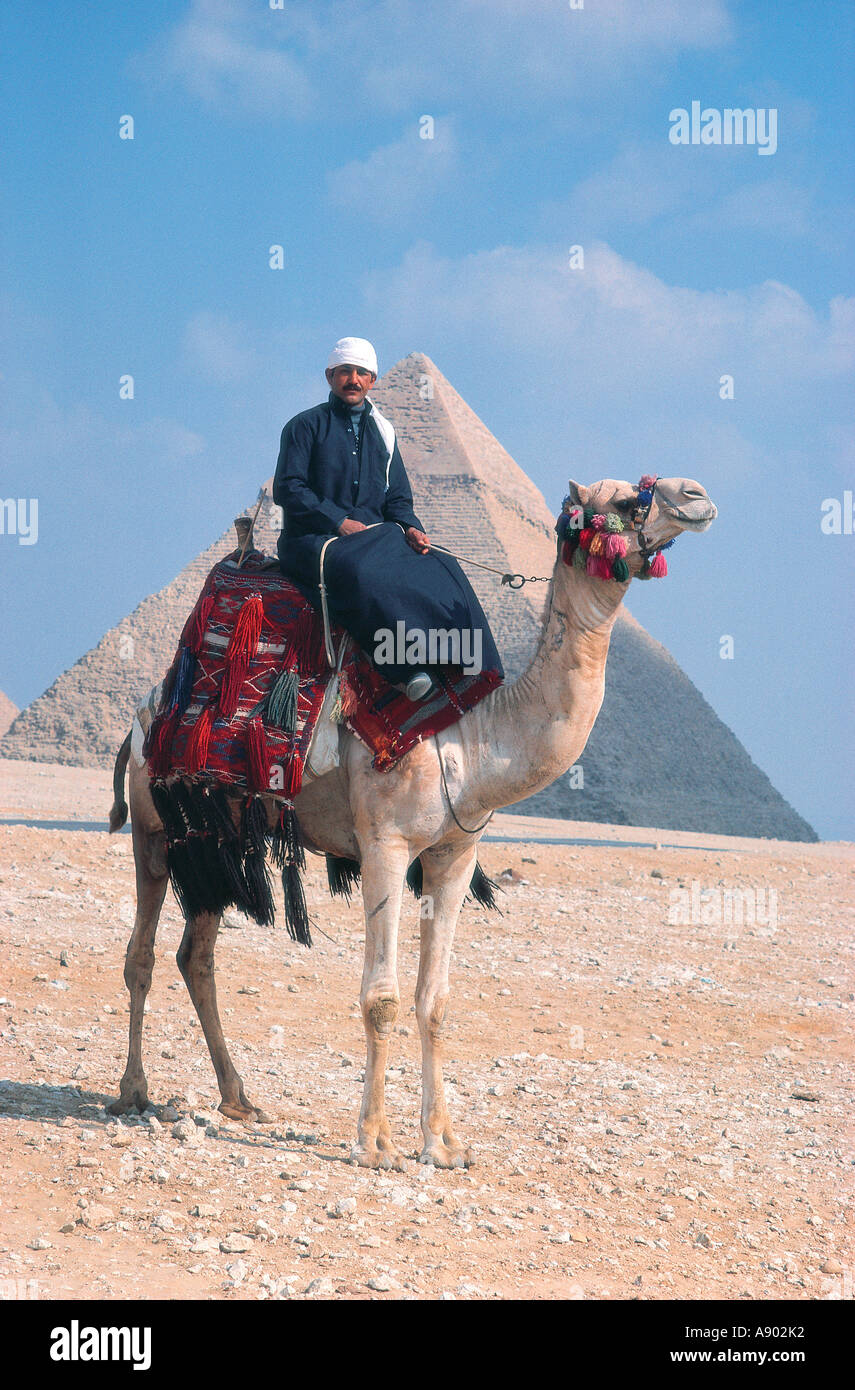 Camel safari egypt hi-res stock photography and images - Alamy