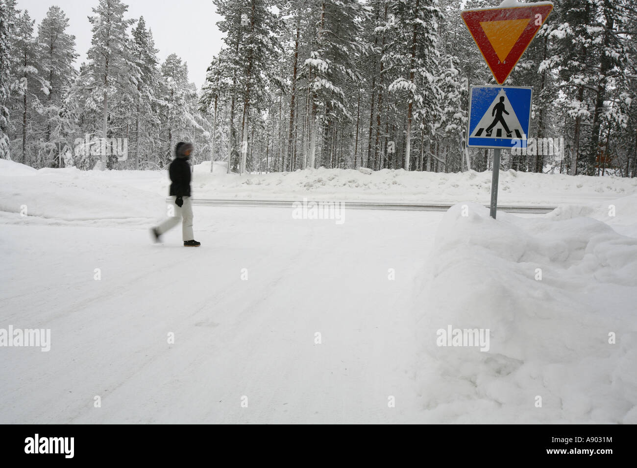 Female tourist crossing a snow covered road near a road sign Stock ...