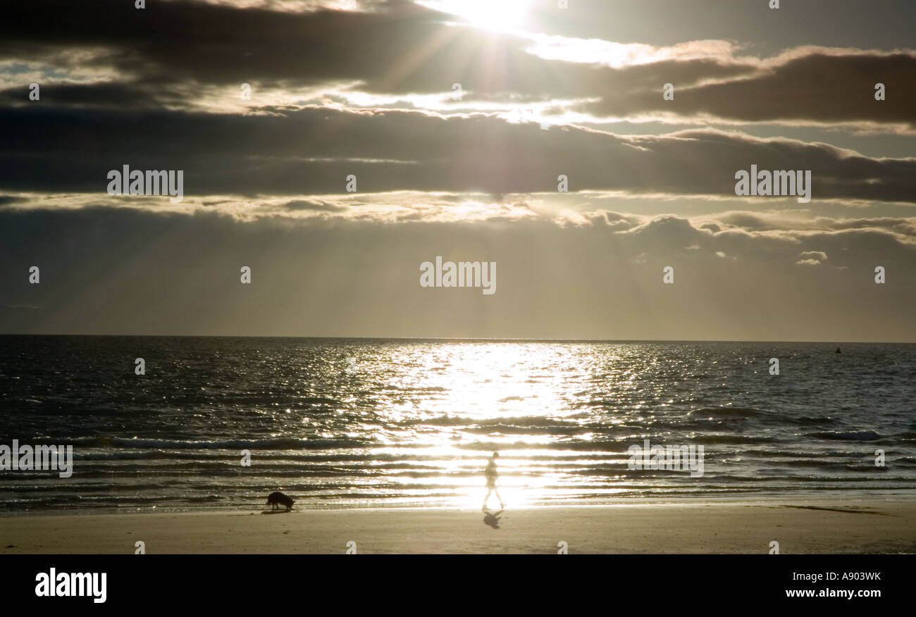 Man And His Dog Sun Shadow Sea Stock Photo - Alamy