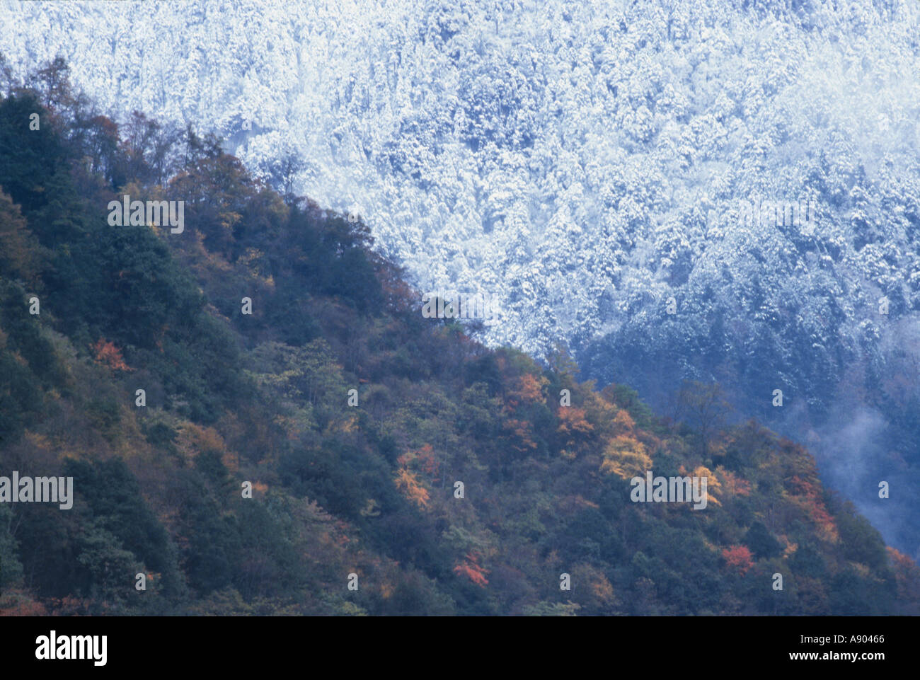 Landscape of Wolong Valley home of the Giant Panda covered by snow ...