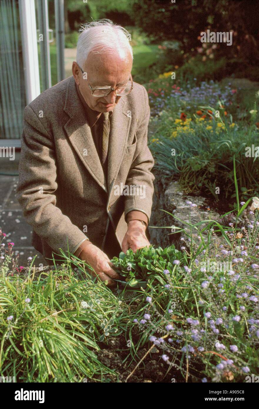 old man gardening Stock Photo - Alamy