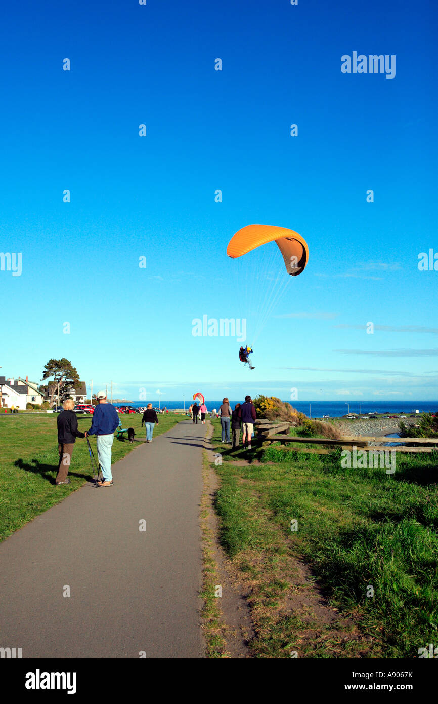 Paragliding at Clover Point Victoria Stock Photo - Alamy