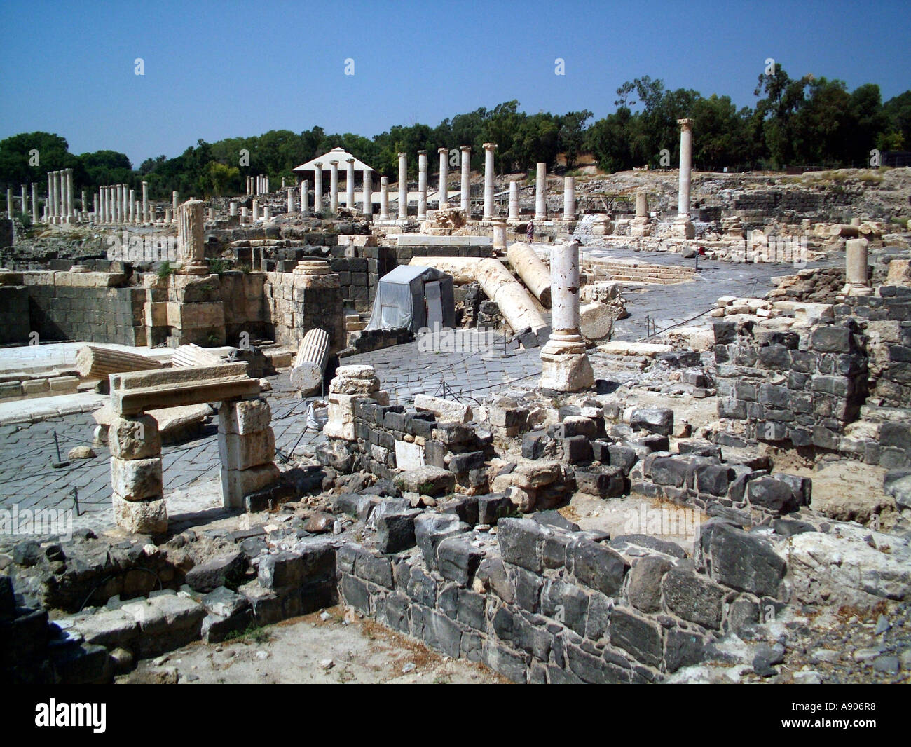 Historic temple beth israel hi-res stock photography and images - Alamy
