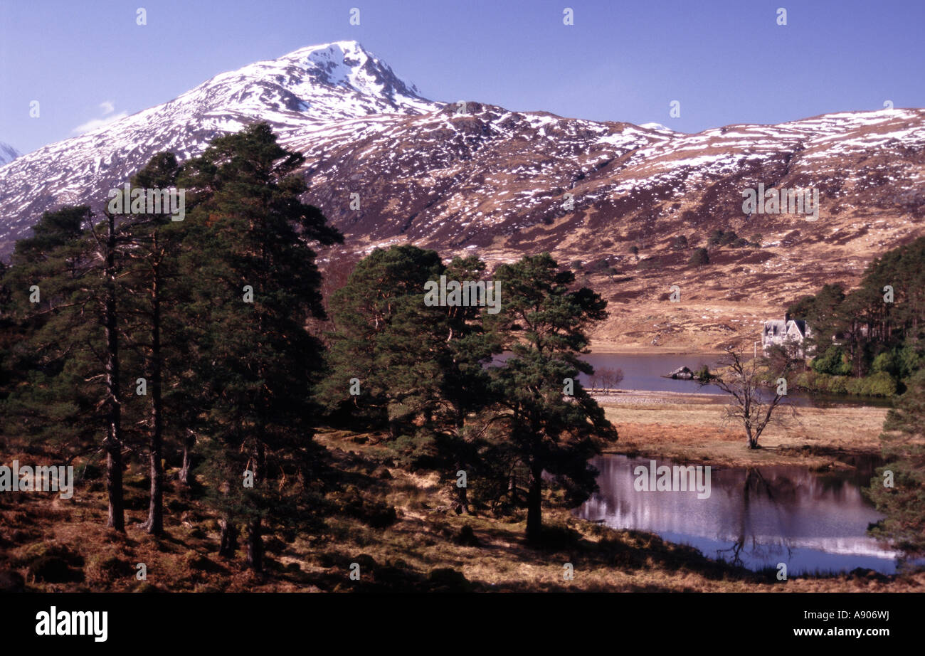 Glen affric lodge hi-res stock photography and images - Alamy
