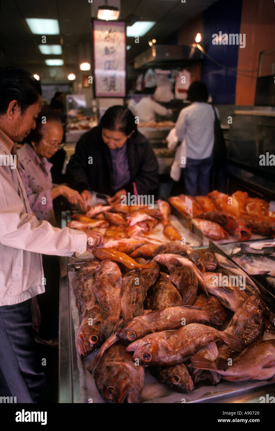 California San Francisco Chinatown local Chinese choosing fish at ...