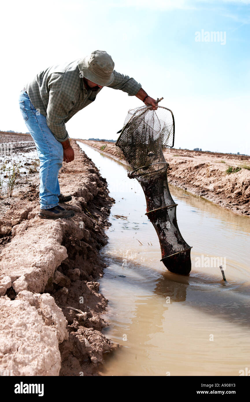 American crawfish fisherman Stock Photo - Alamy
