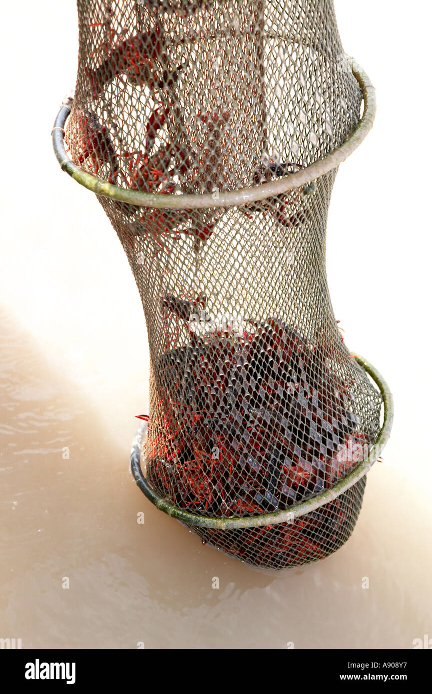 Fish nets american river hi-res stock photography and images - Alamy