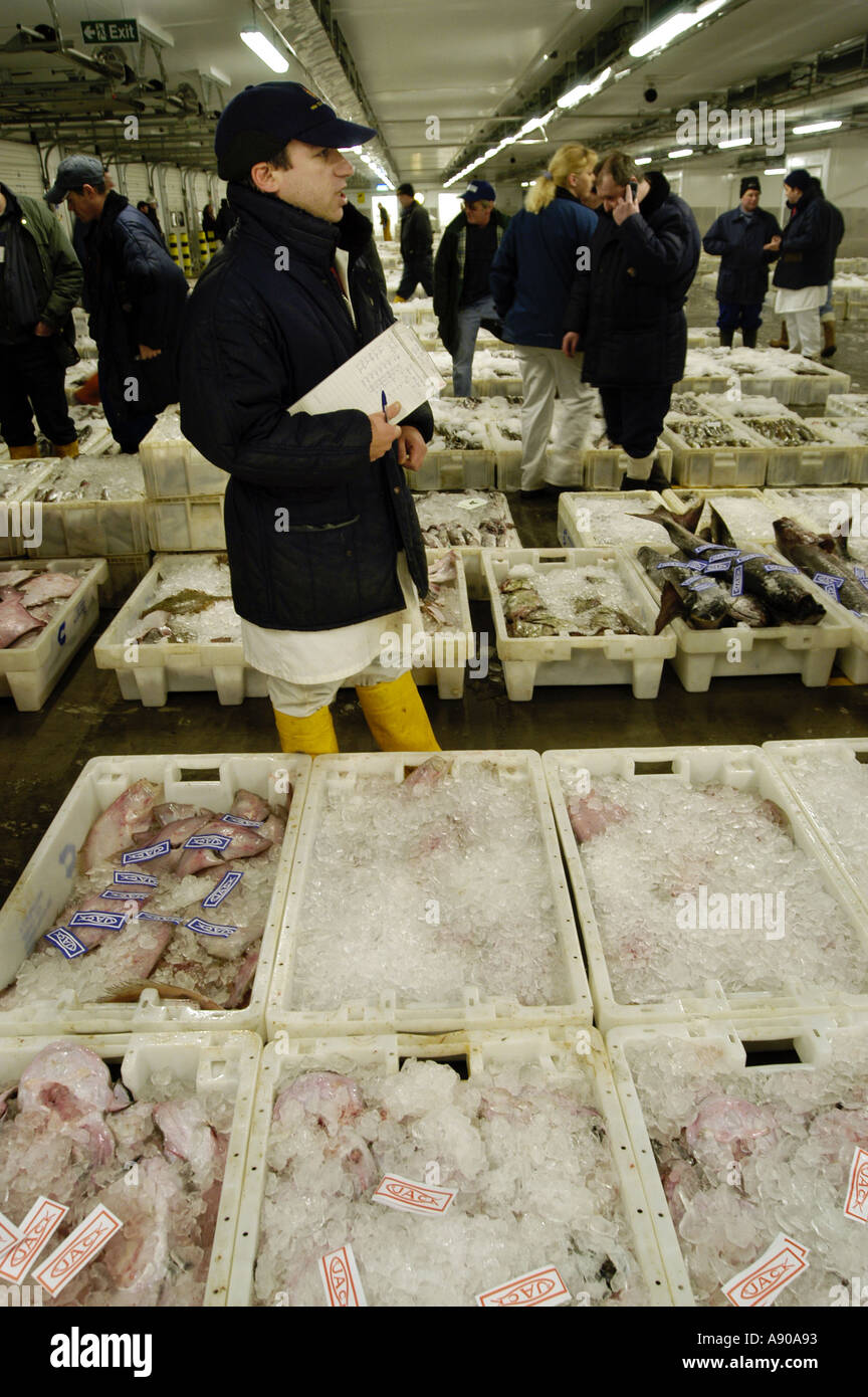 Peterhead fish market hi-res stock photography and images - Alamy