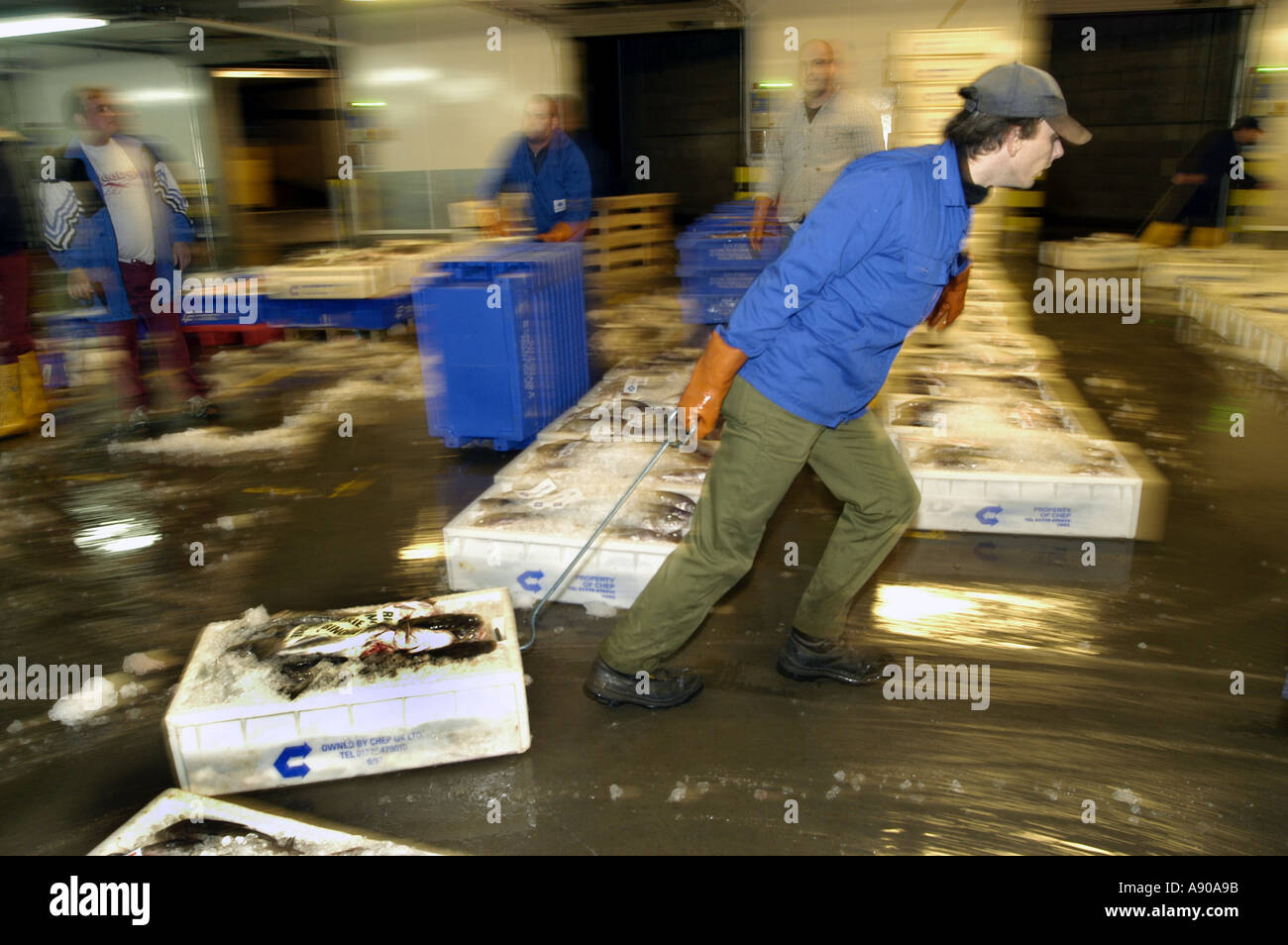 Peterhead fish market hi-res stock photography and images - Alamy