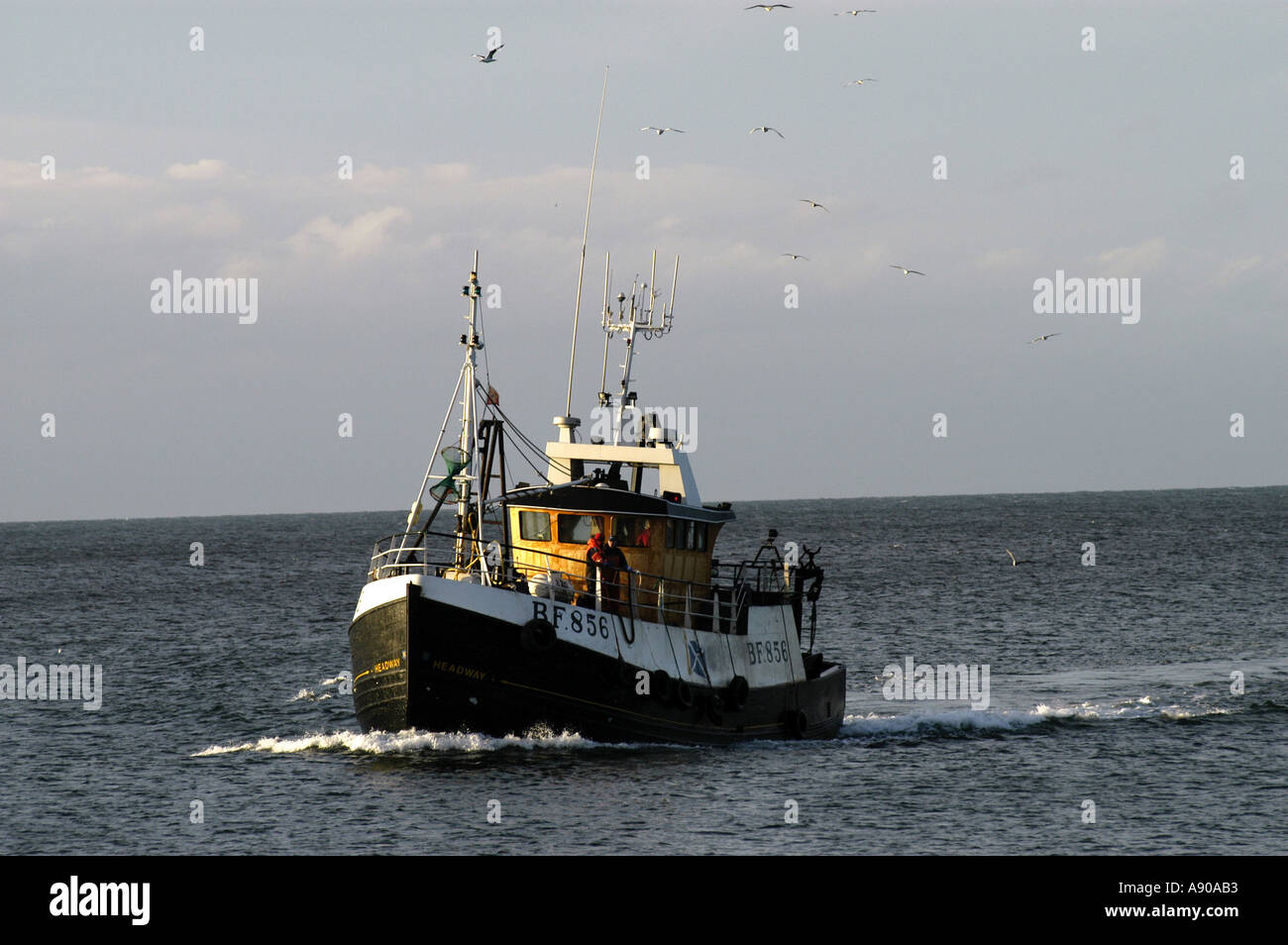 Cod fishing scotland hi-res stock photography and images - Alamy