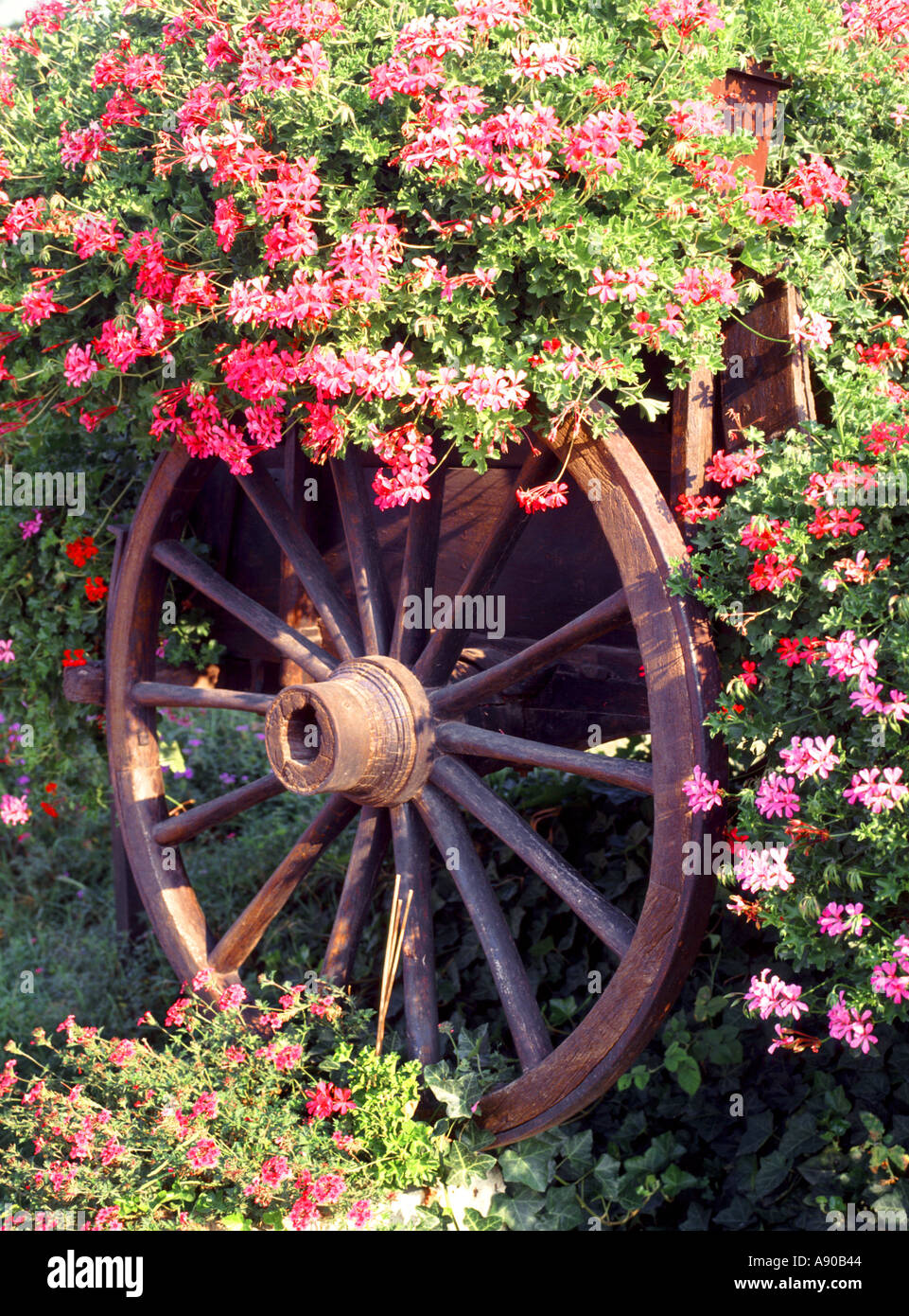 Grasse france flowers hi-res stock photography and images - Alamy