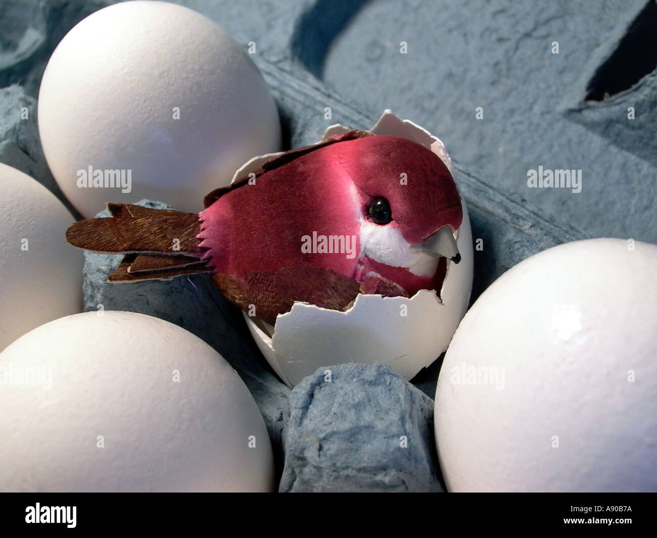 Model baby bird in egg shell Stock Photo - Alamy