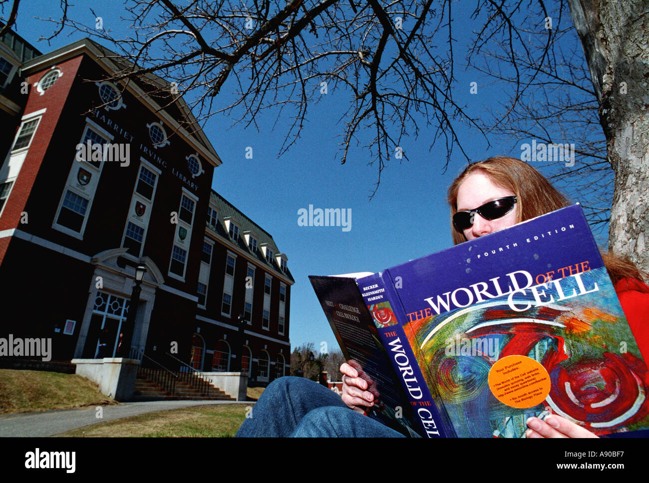 student studying in canada at a university Stock Photo - Alamy