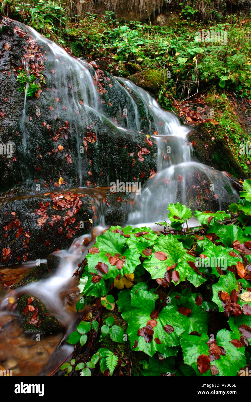 Nalon river hi-res stock photography and images - Alamy