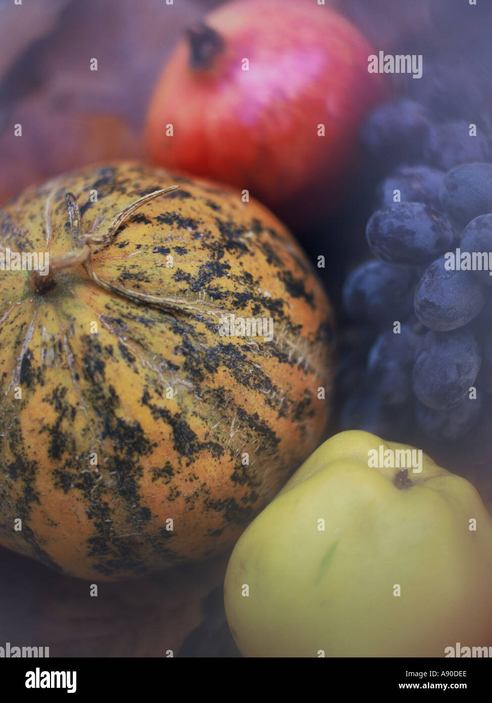 Fruits in fall Stock Photo - Alamy