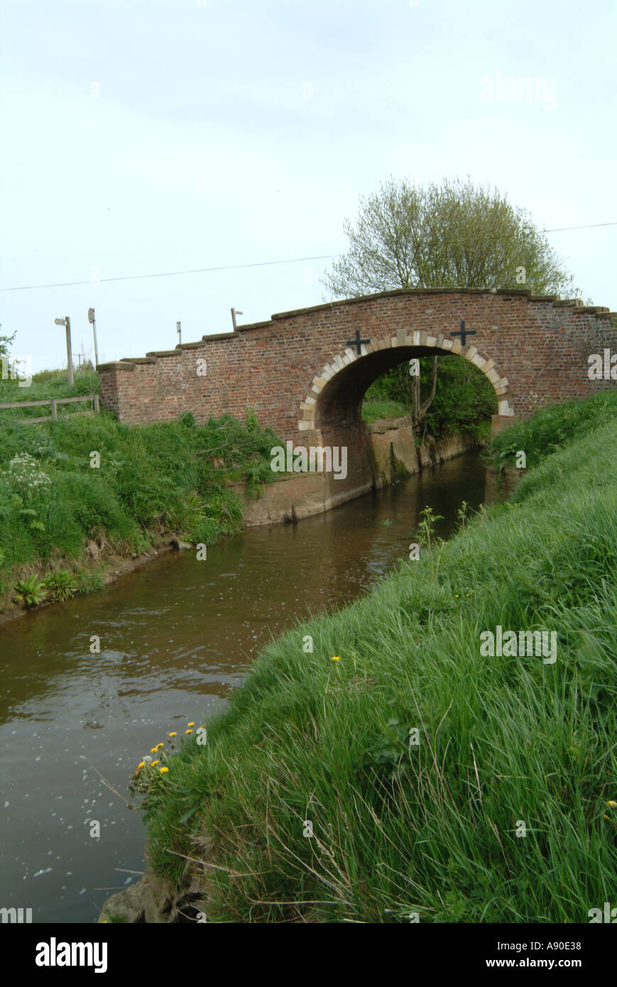 Humpedback hi-res stock photography and images - Alamy
