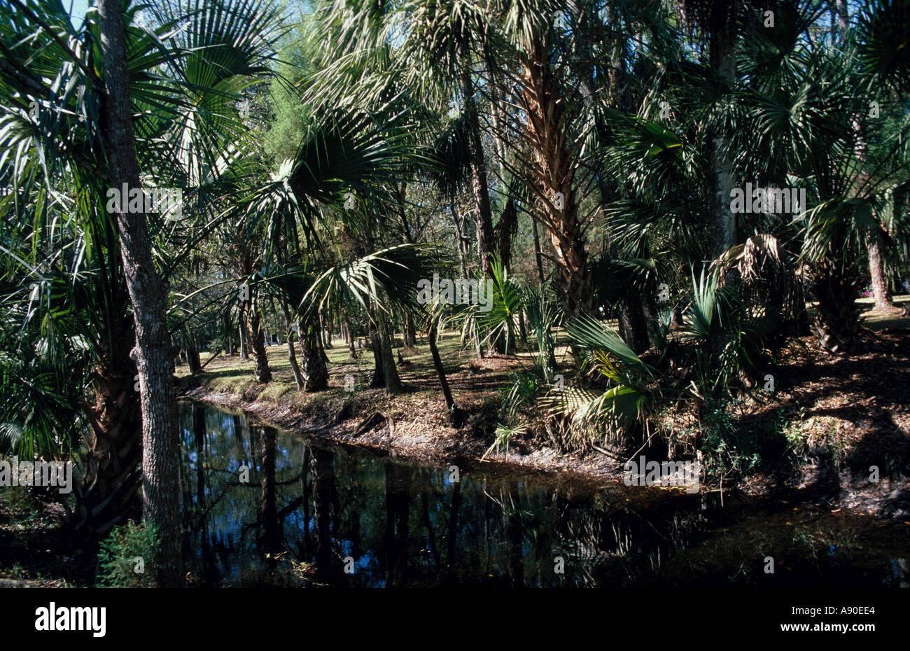 FRESH WATER CHANNEL FLORIDA USA Stock Photo - Alamy