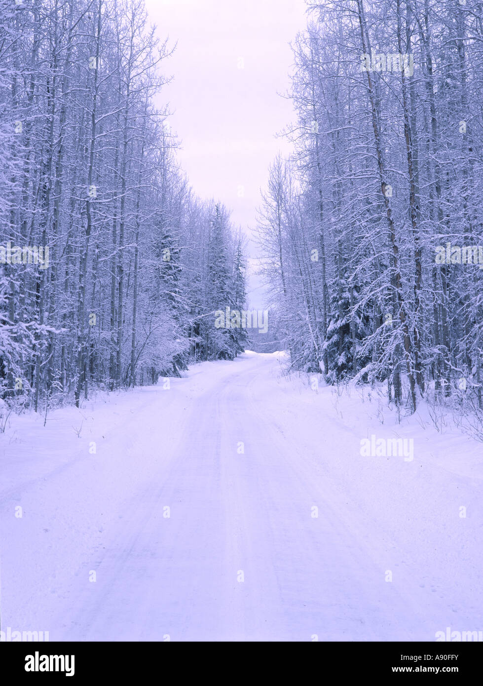 A Snow Covered Country Lane Stock Photo - Alamy
