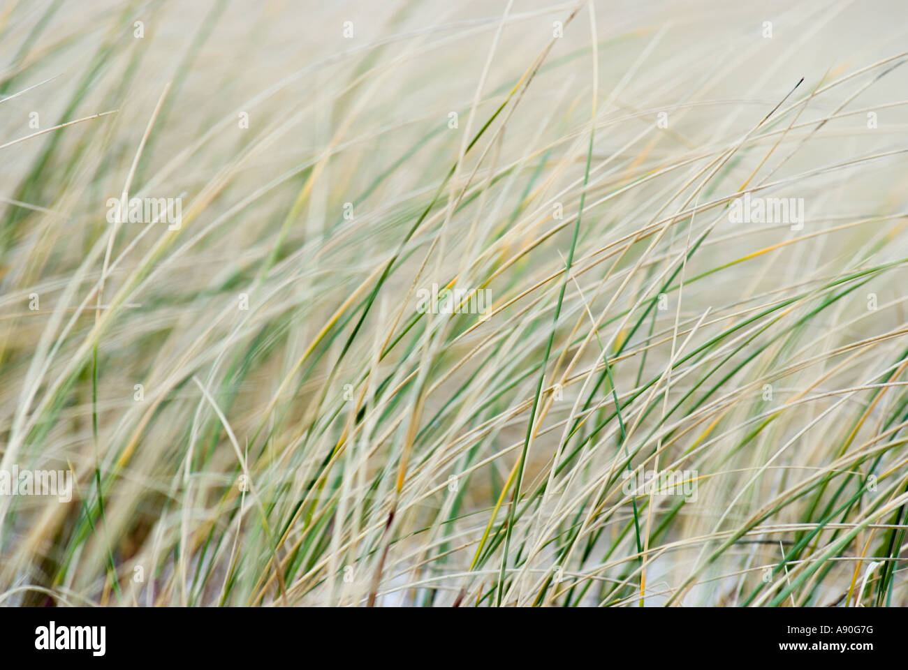 Semi abstraction hi-res stock photography and images - Alamy