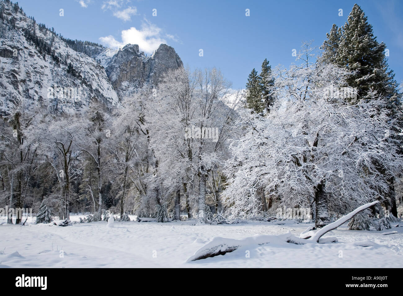 Snow covered foggy mountain peaks in Yosemite National Park Stock Photo ...