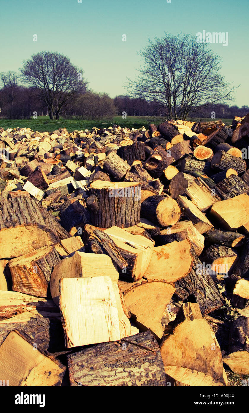 Firewood logs on Wimbledon Common, London, England Stock Photo - Alamy